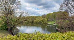 What are the architectural restrictions of a conservation area ...